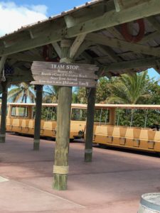 Top 11 Tips for Visiting Disney Castaway Cay - Globetrotting Mommy
